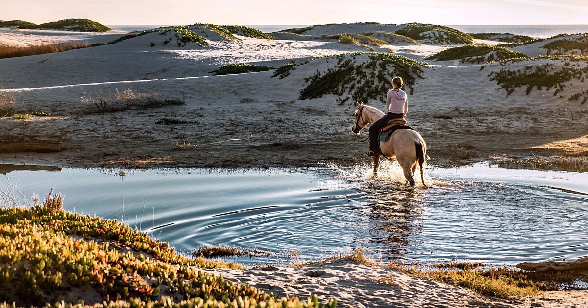 Go Horseback Riding - BookitList